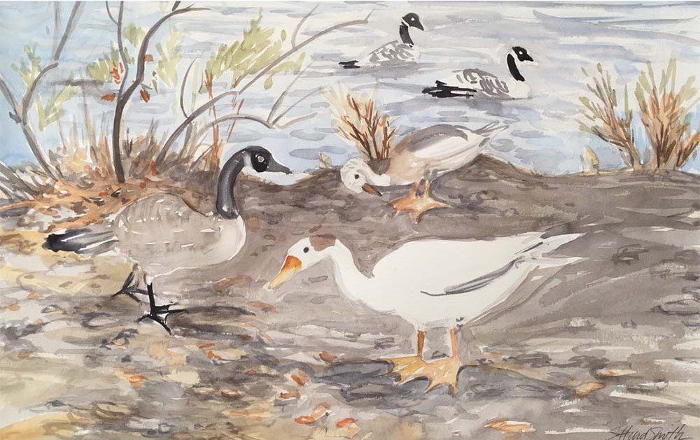 East Bay and Beyond – Sharon Hind Smith